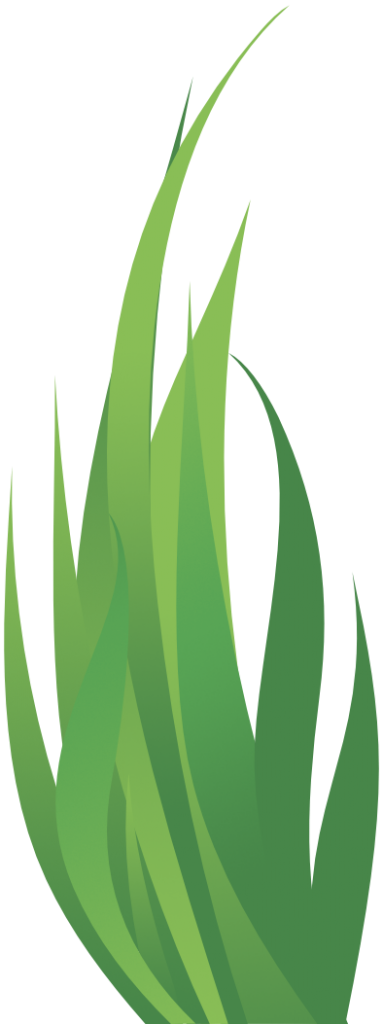 Turfline - Hawkesbury's Quality Turf